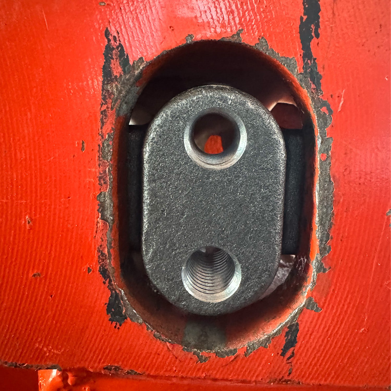 Forged Universal Container Nut | 2 Pack